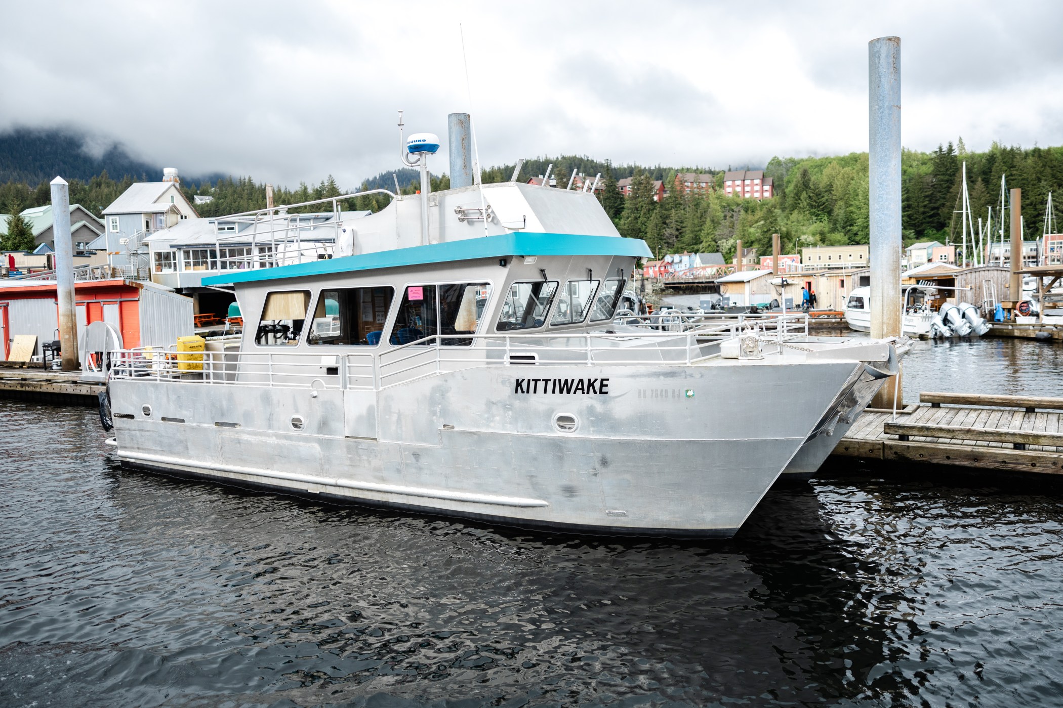 Private Sea Otter & Wildlife Quest - True Alaskan Tours
