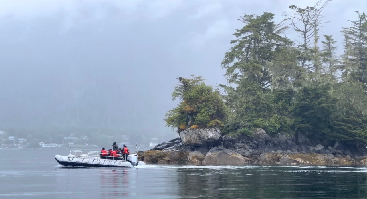 Marine Expedition & Wildlife Quest | True Alaskan Tours